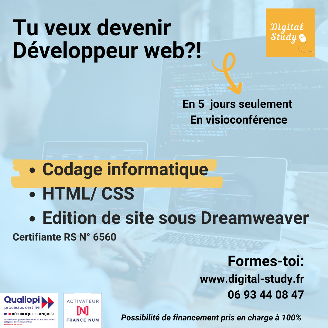 Formation digitale à la Réunion - DIGITAL STUDY